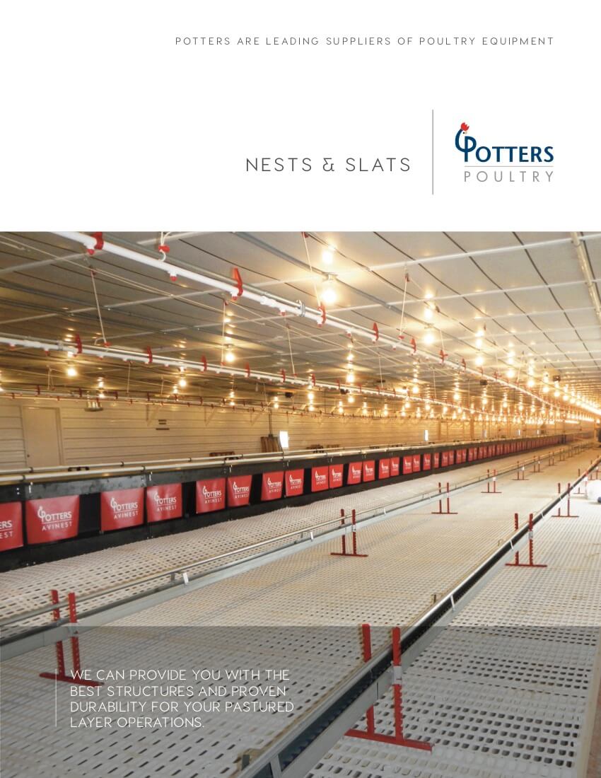 Slats - Pullets